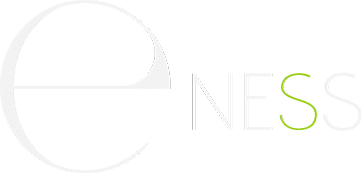 Agence Web Quimper Brest création de site internet e-Ness